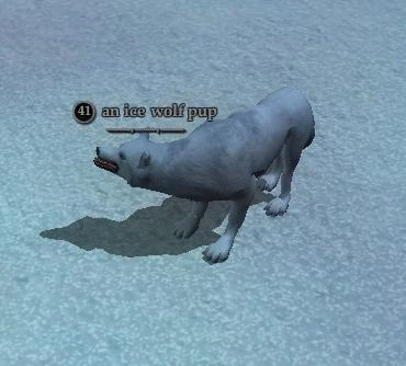 An ice wolf pup | EQ2Classic Wiki | Fandom