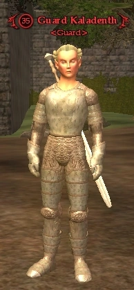 Guard Kaladenth | EQ2Classic Wiki | Fandom