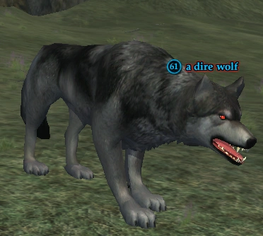 a dire wolf | EQ2Classic Wiki | Fandom
