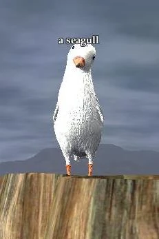 A seagull | EQ2Classic Wiki | Fandom