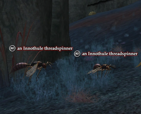 An Innothule threadspinner | EQ2Classic Wiki | Fandom