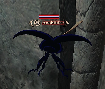 Anobiidae | EQ2Classic Wiki | Fandom