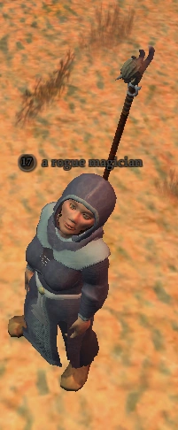 A rogue magician | EQ2Classic Wiki | Fandom