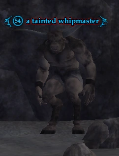 a tainted whipmaster | EQ2Classic Wiki | Fandom