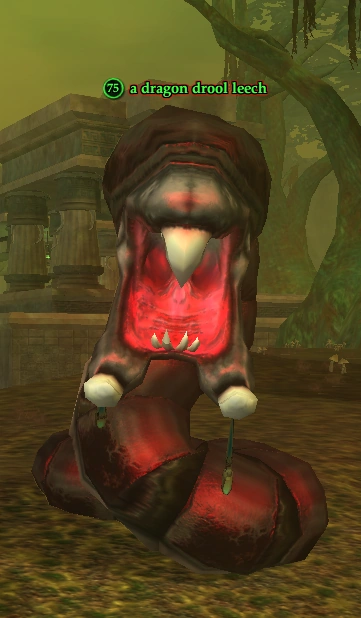 A dragon drool leech | EQ2Classic Wiki | Fandom