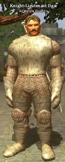 Knight-Lieutenant Ilgar | EQ2Classic Wiki | Fandom