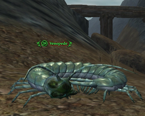 Venepede | EQ2Classic Wiki | Fandom
