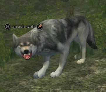 An ash wolf | EQ2Classic Wiki | Fandom