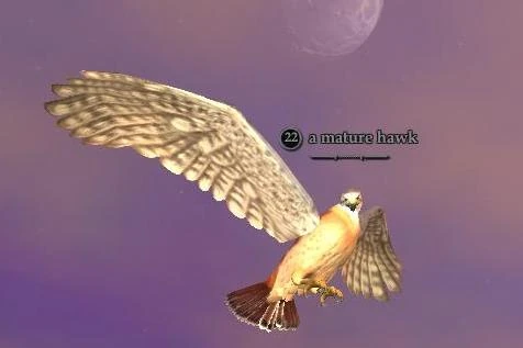A mature hawk | EQ2Classic Wiki | Fandom