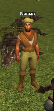 Numair | EQ2Classic Wiki | Fandom