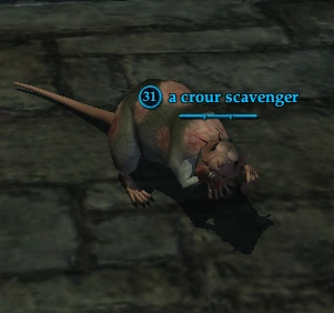 A crour scavenger | EQ2Classic Wiki | Fandom