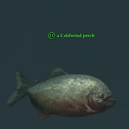 A Coldwind perch | EQ2Classic Wiki | Fandom