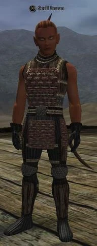 Soril Isaran | EQ2Classic Wiki | Fandom