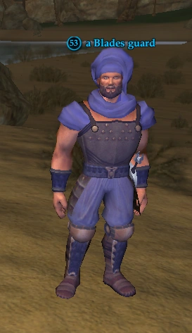 a Blades guard | EQ2Classic Wiki | Fandom