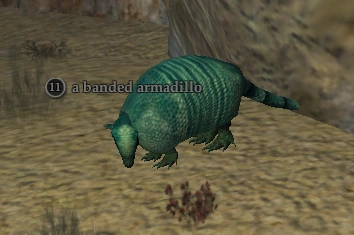 A banded armadillo | EQ2Classic Wiki | Fandom