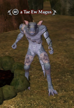 A Tae Ew Magus | EQ2Classic Wiki | Fandom