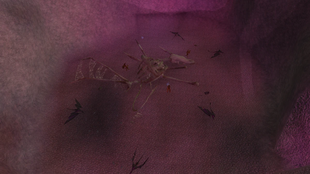 Remnants of Xoch | EQ2Classic Wiki | Fandom