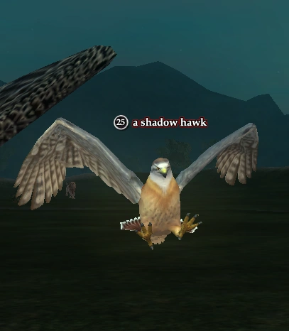 A shadow hawk | EQ2Classic Wiki | Fandom