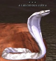 A rancorous cobra | EQ2Classic Wiki | Fandom