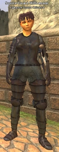 Squire-Guard Williamson | EQ2Classic Wiki | Fandom
