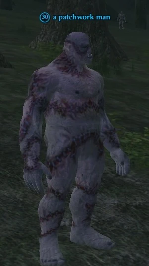 A patchwork man | EQ2Classic Wiki | Fandom