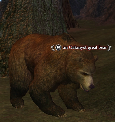 An Oakmyst great bear | EQ2Classic Wiki | Fandom