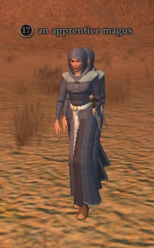 An apprentice magus | EQ2Classic Wiki | Fandom