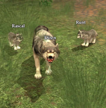 Rascal | EQ2Classic Wiki | Fandom