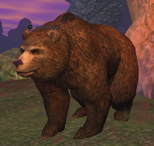 A wild bear | EQ2Classic Wiki | Fandom