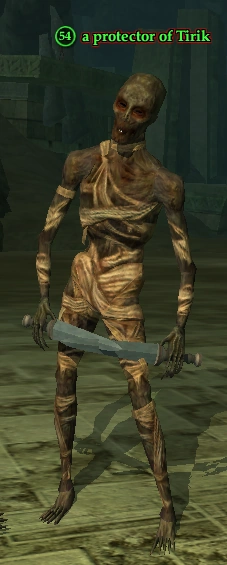 A protector of Tirik | EQ2Classic Wiki | Fandom