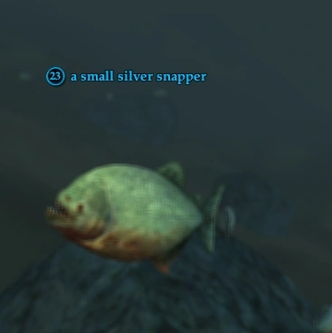 A small silver snapper | EQ2Classic Wiki | Fandom