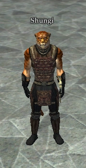Shungi | EQ2Classic Wiki | Fandom