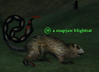 A snapjaw blightrat | EQ2Classic Wiki | Fandom
