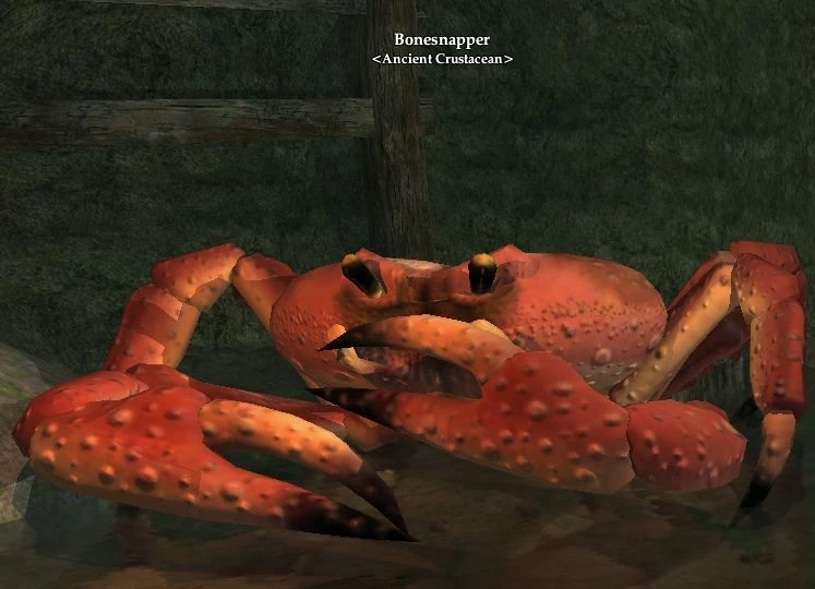 Bonesnapper | EQ2Classic Wiki | Fandom
