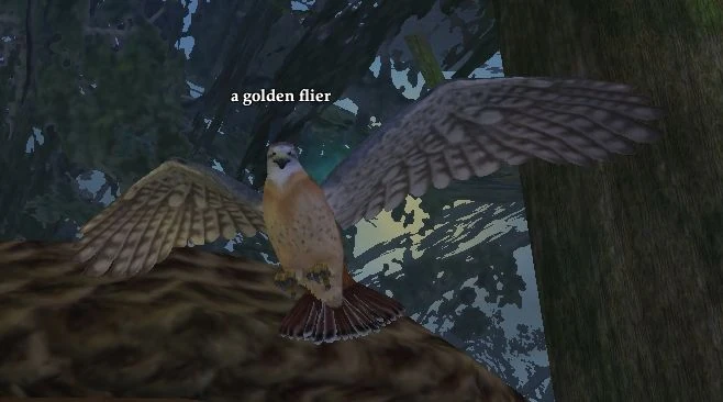a golden flier | EQ2Classic Wiki | Fandom