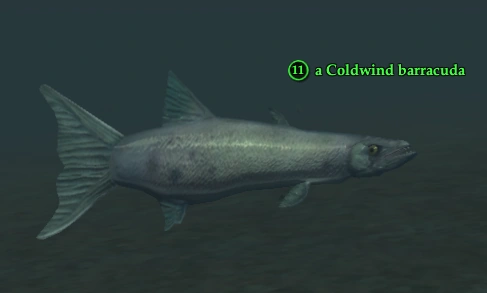A Coldwind barracuda | EQ2Classic Wiki | Fandom