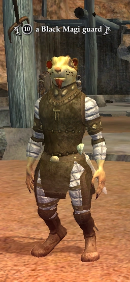 A Black Magi guard | EQ2Classic Wiki | Fandom