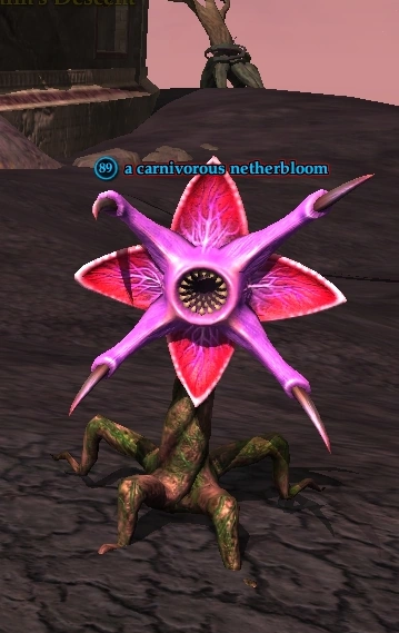 A carnivorous netherbloom | EQ2Classic Wiki | Fandom