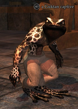 A Guktan captive | EQ2Classic Wiki | Fandom