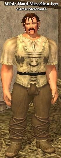 Stable Hand Marcellun Iver | EQ2Classic Wiki | Fandom