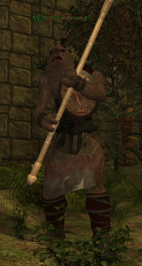 a Thulian Devout | EQ2Classic Wiki | Fandom