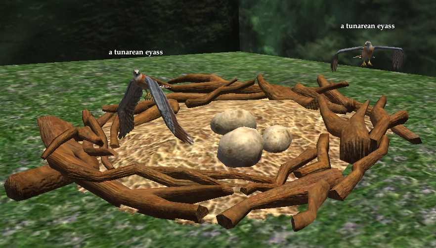 A hawk nest | EQ2Classic Wiki | Fandom