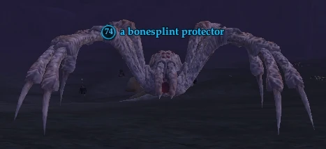 A bonesplint protector | EQ2Classic Wiki | Fandom