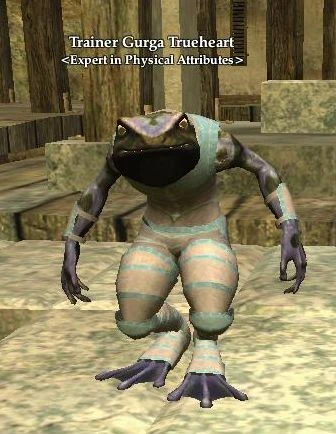 Trainer Gurga Trueheart | EQ2Classic Wiki | Fandom