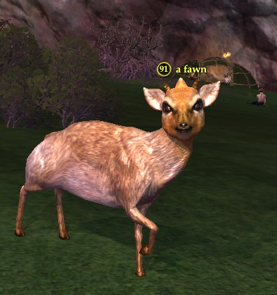 a fawn | EQ2Classic Wiki | Fandom