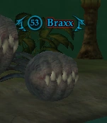 Braxx (A Meeting of the Minds) | EQ2Classic Wiki | Fandom