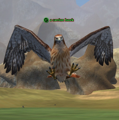 A carrion hawk | EQ2Classic Wiki | Fandom