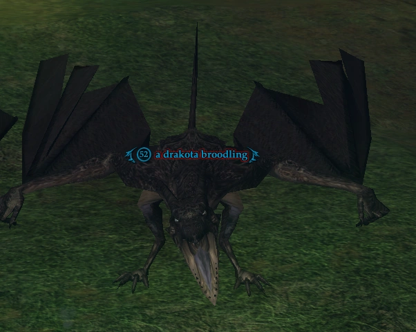 a drakota broodling | EQ2Classic Wiki | Fandom