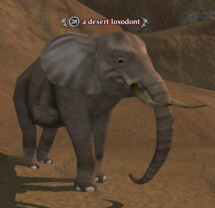 A desert loxodont | EQ2Classic Wiki | Fandom