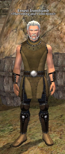 Ernest Ironthumb | EQ2Classic Wiki | Fandom